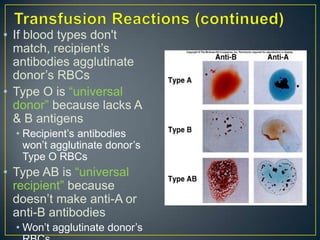 Blood components and transfusion reactions | PPSX