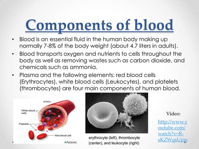 Blood components case study presentation july 2013 | PPTX