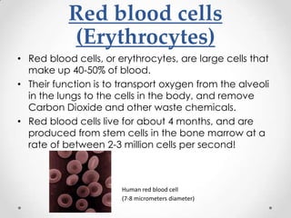 Blood components case study presentation july 2013 | PPTX | Blood ...