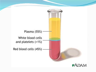 Blood components preparation and therapeutic uses final | PPT