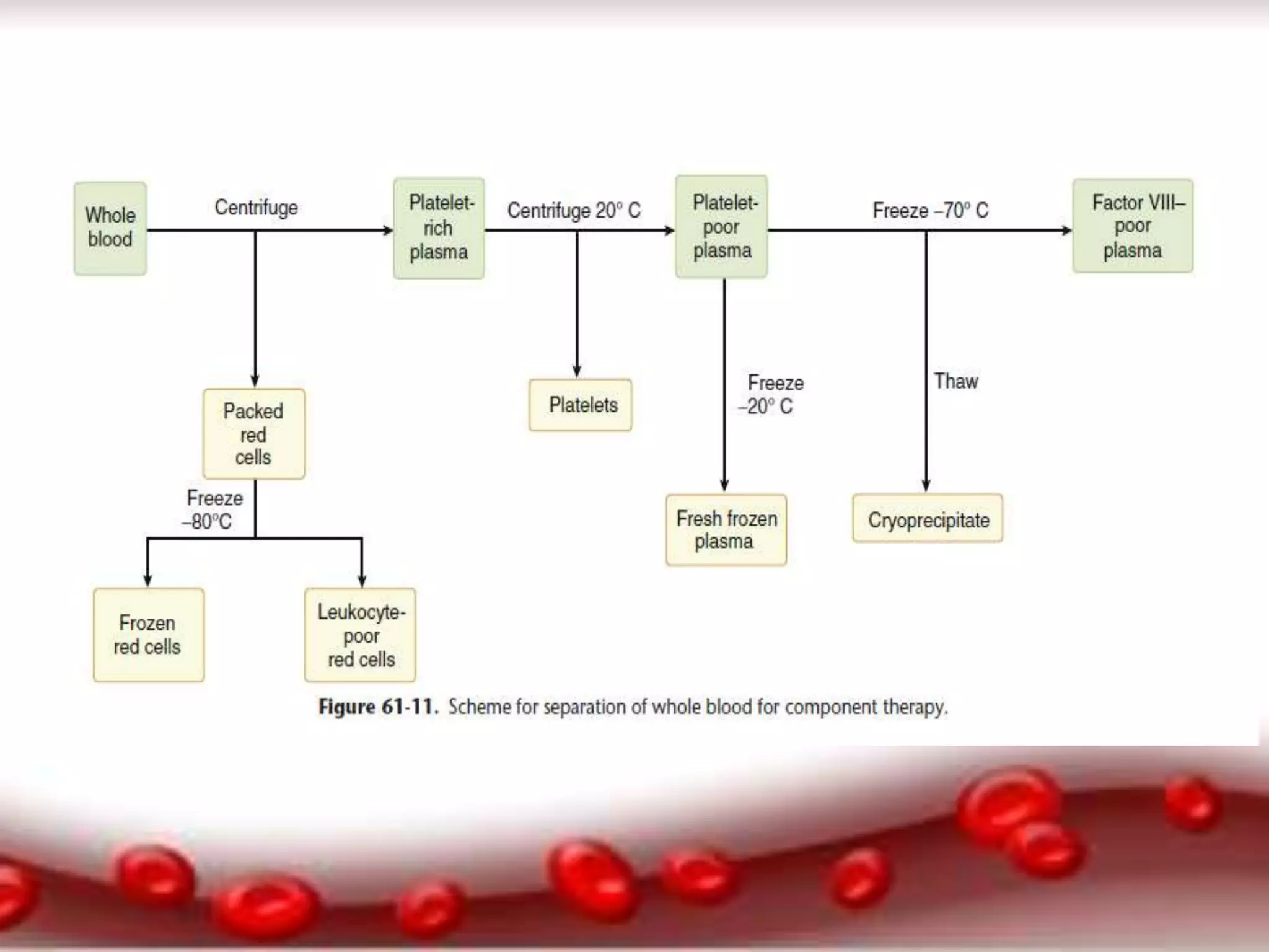 Blood component therapy | PPT