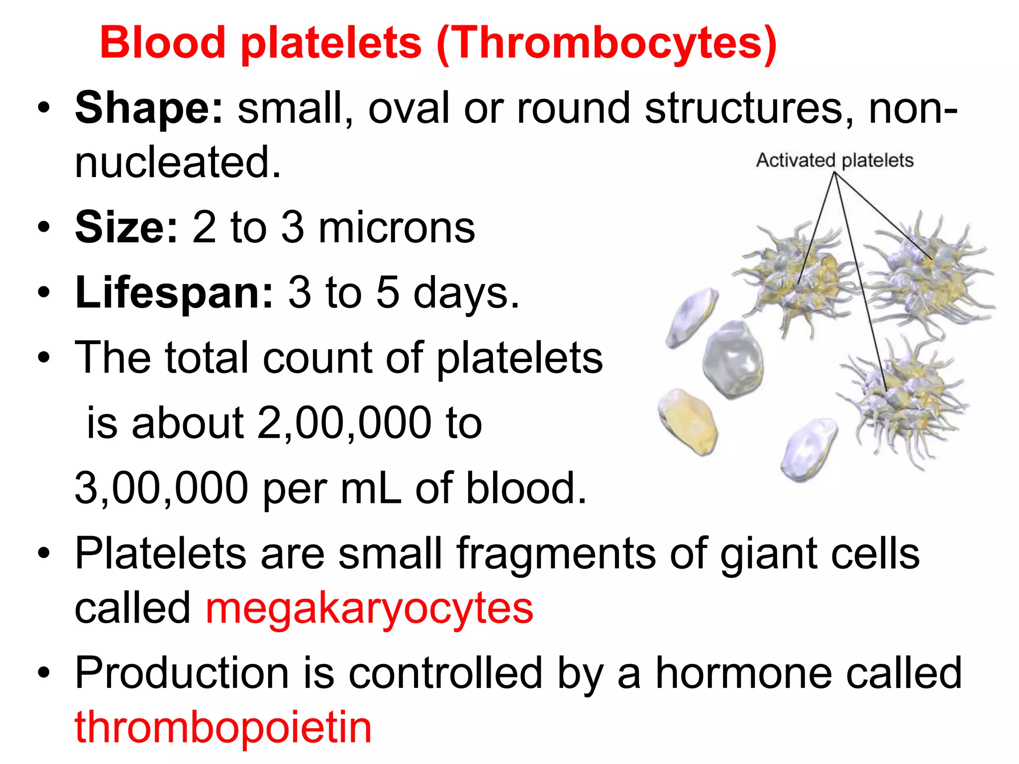 Blood composition and function | PPT