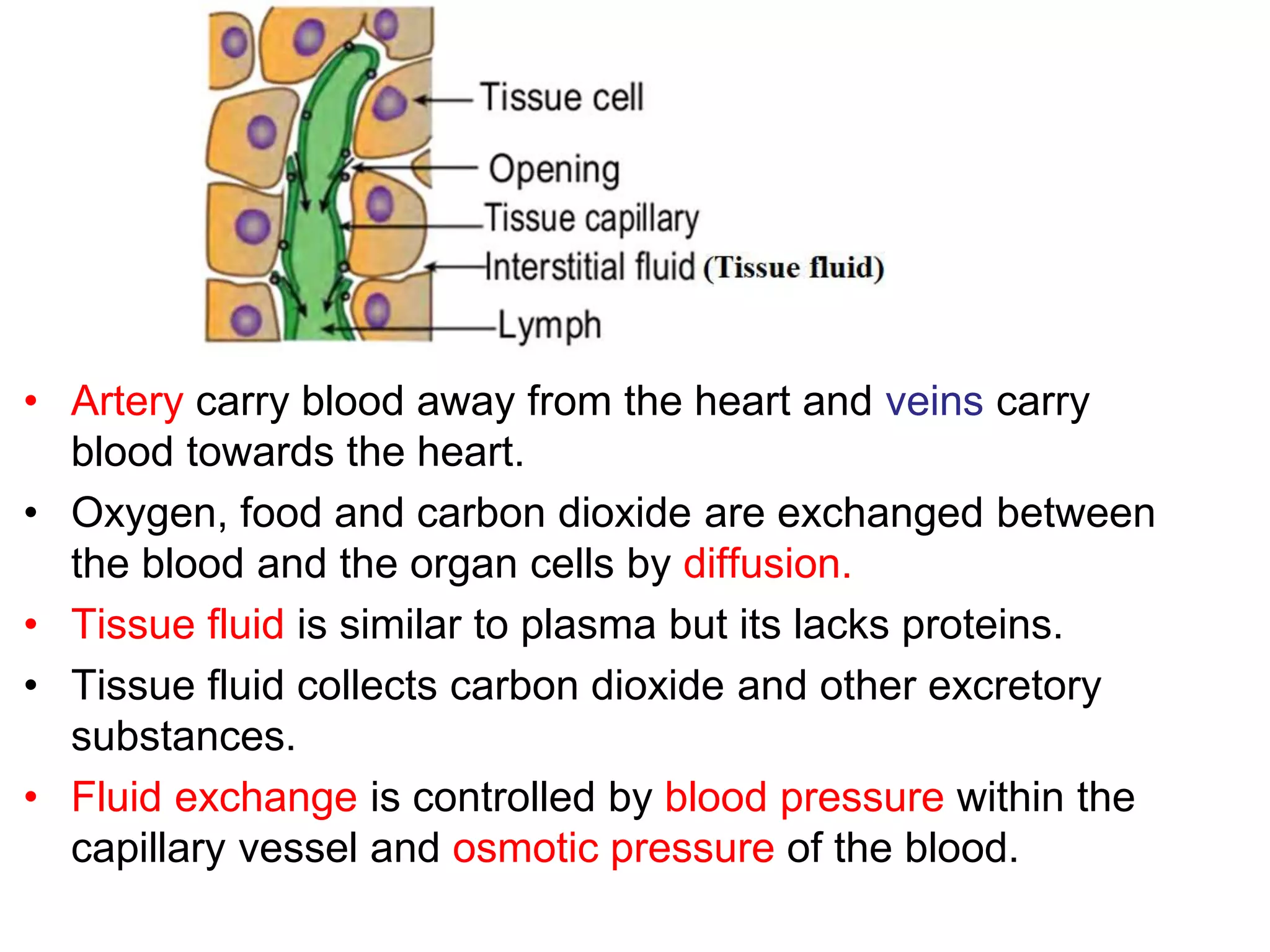 Blood composition and function | PPT