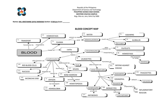 BLOOD CONCEPT MAP_MONANA.pdf