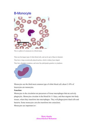Blood constituents&function | DOC