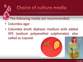 Culturing Blood | PPTX