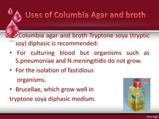 Culturing Blood | PPTX
