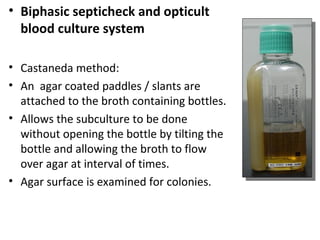 Blood culture | PPT