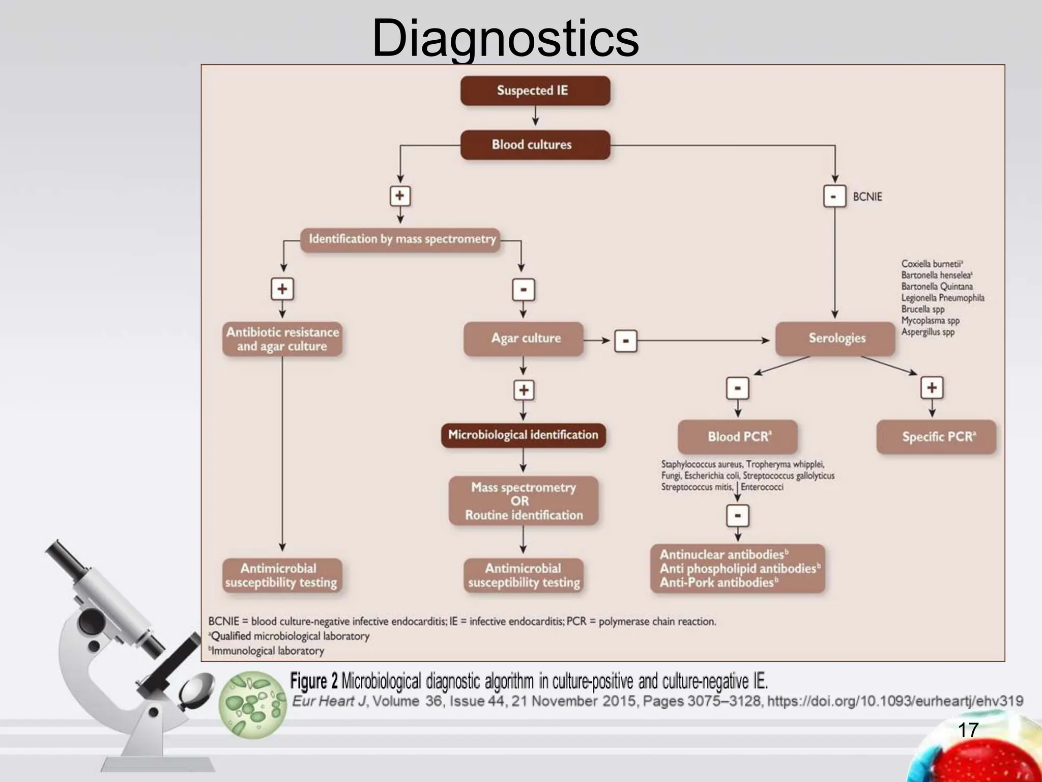 INFECTIVE ENDOCARDITIS-BLOOD CULTURE NEG | PPT