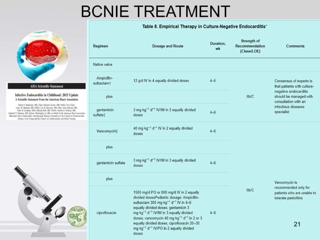 INFECTIVE ENDOCARDITIS-BLOOD CULTURE NEG | PPT | Heart and ...