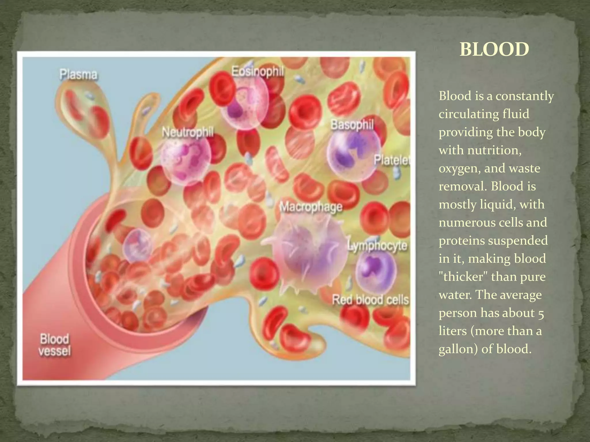 BLOOD TRANSFUSION | PPTX