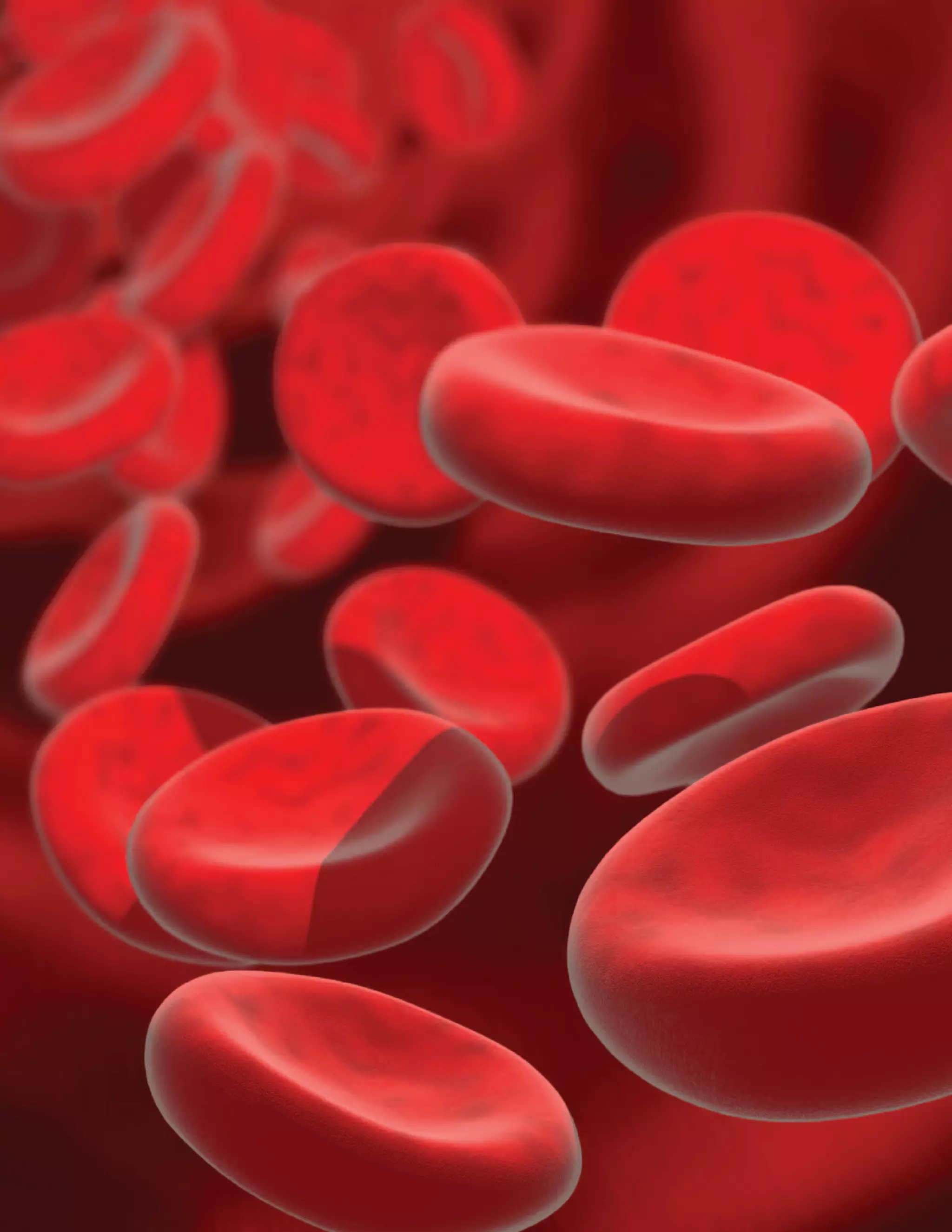 Blood detectives consumer health discussion guide | PDF