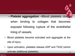 Blood disorder | PPT