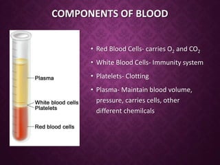 Blood donation | PPTX