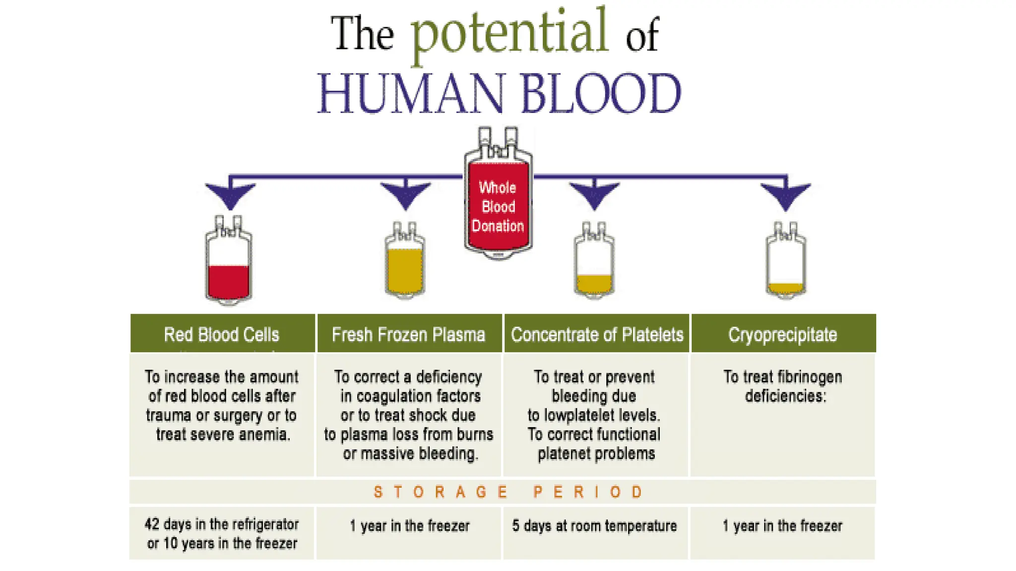 Blood Donation over view & awareness.pptx