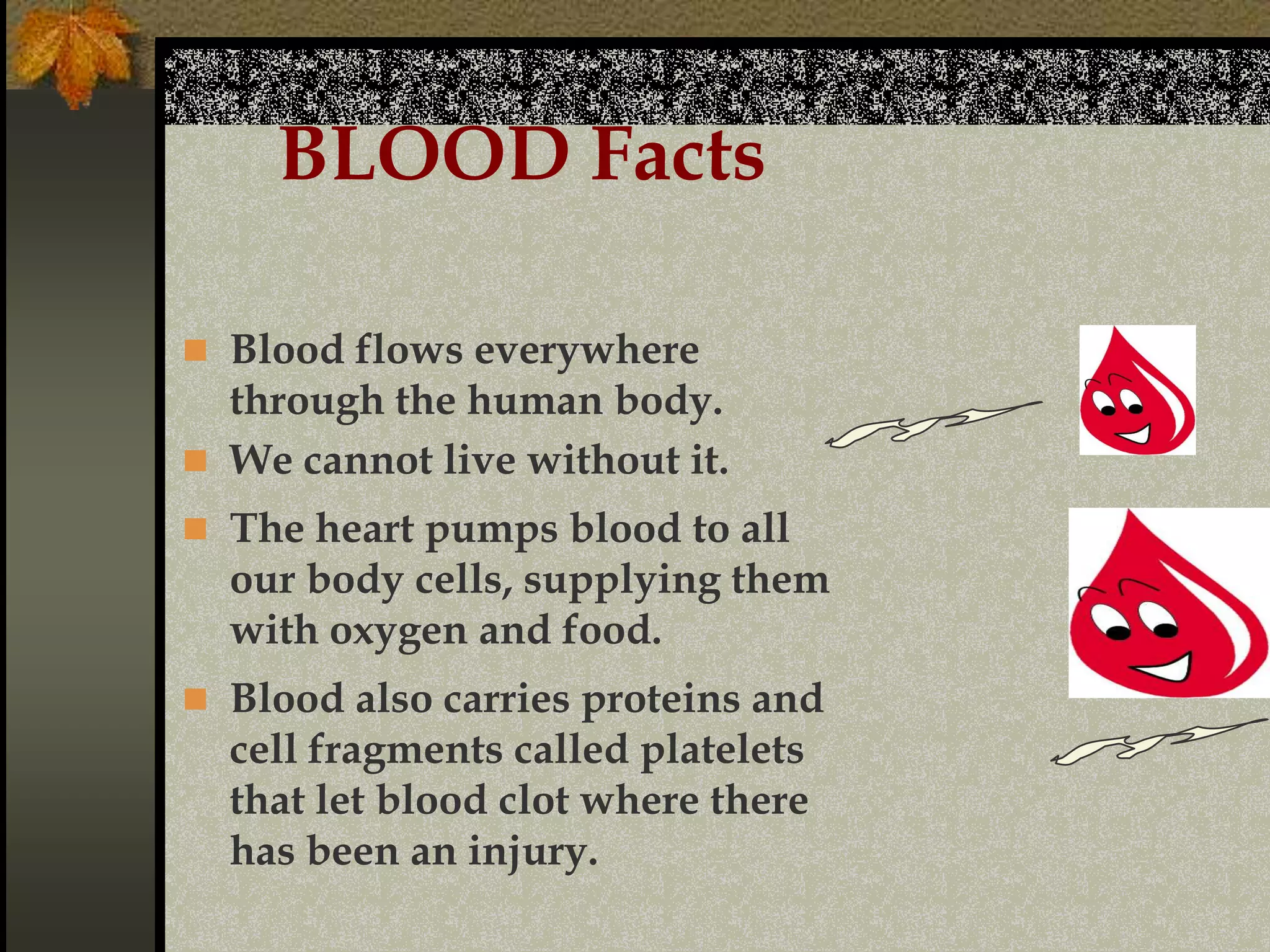 Blood donation facts | PPT