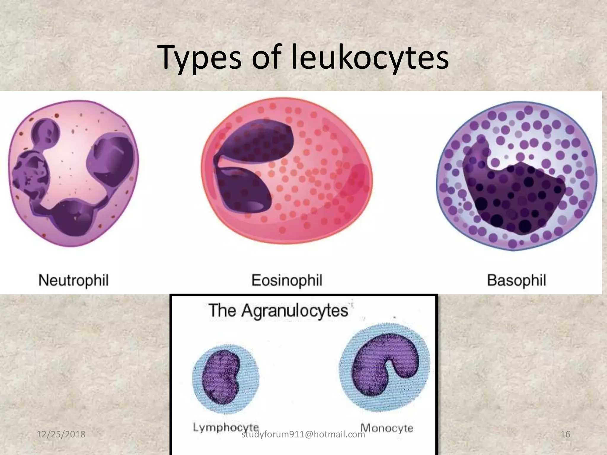 Blood (erythrocytes, leukocytes and platelets) | PPTX