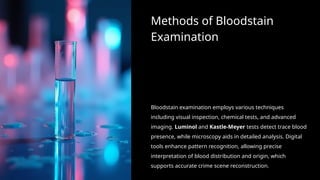 Blood Evidence.pptxnskdhdjssknsvdsjsiksfbdhsujd | PPTX