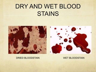 Blood examination.pptx