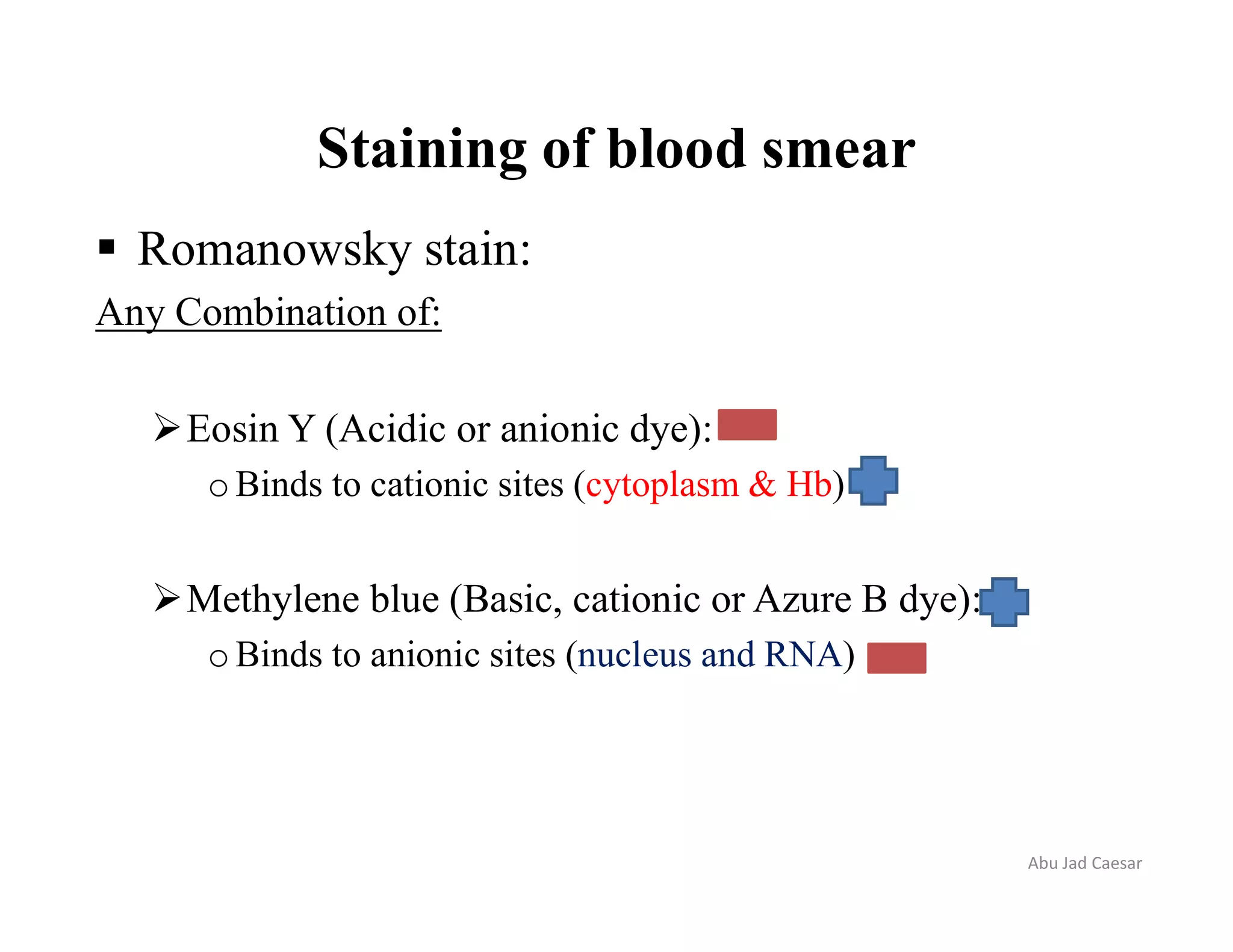 Blood film preparation and reporting | PDF