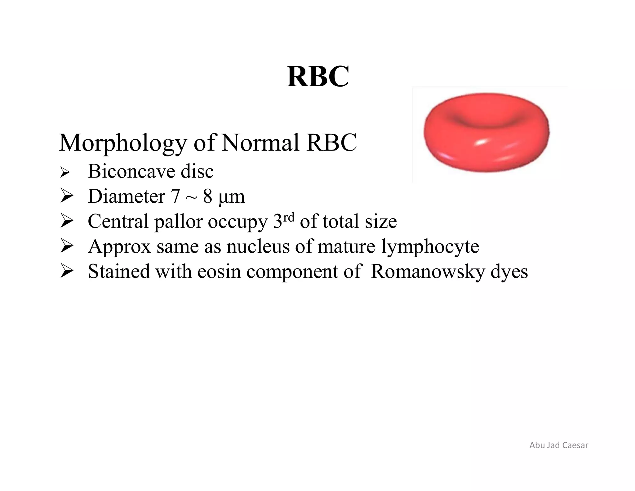Blood film preparation and reporting | PDF