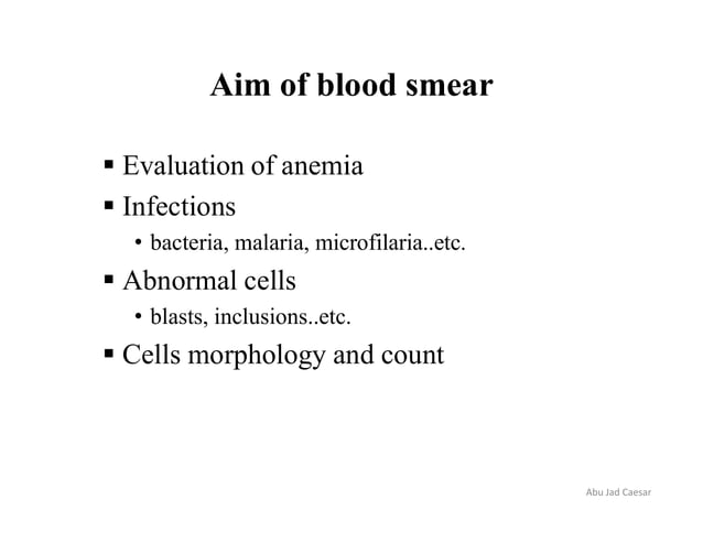 Blood film preparation and reporting | PDF