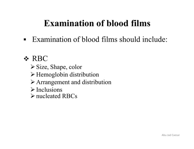 Blood film preparation and reporting | PDF