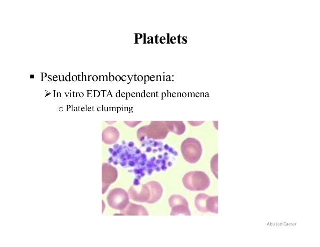 Blood film preparation and reporting