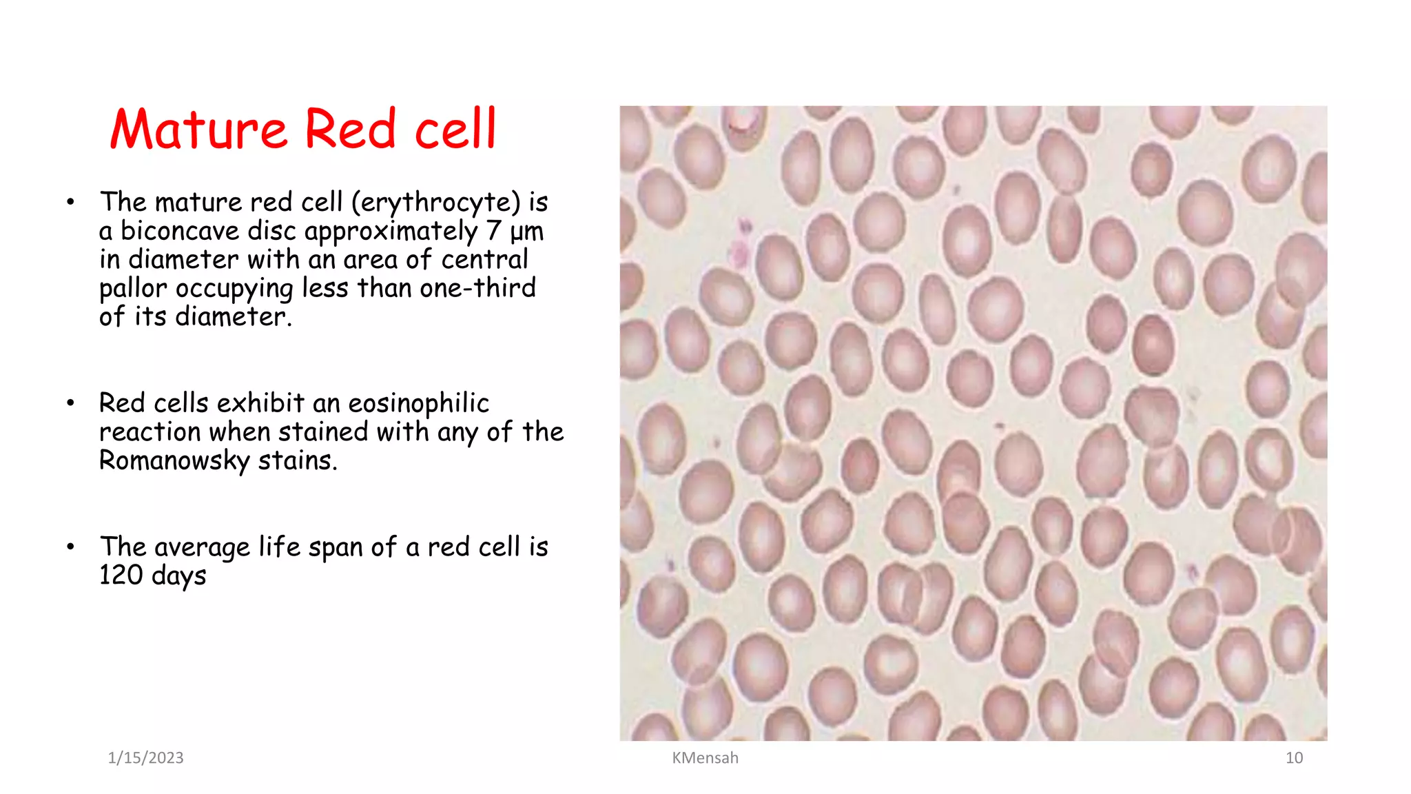 BLOOD FILM COMMENT part one.pptx