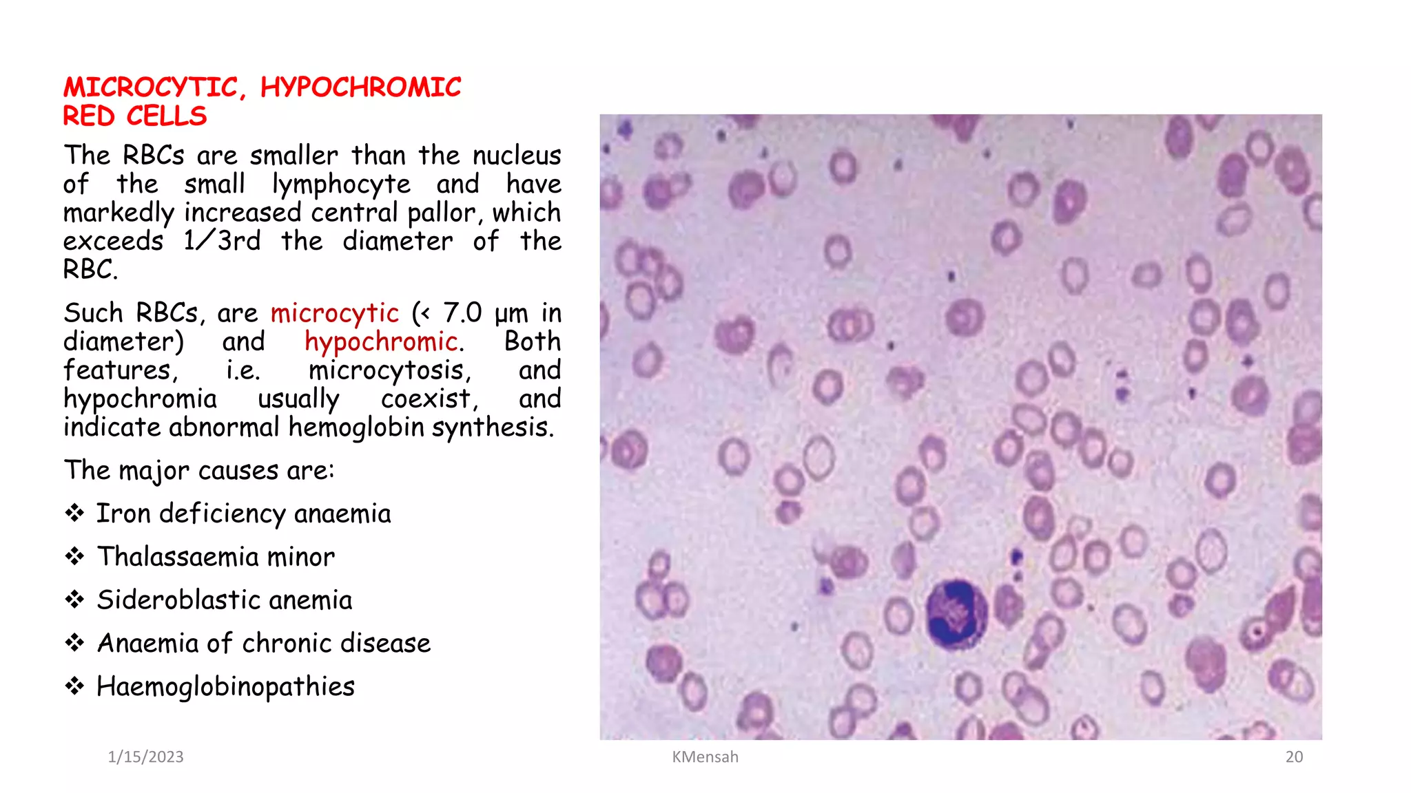 BLOOD FILM COMMENT part one.pptx