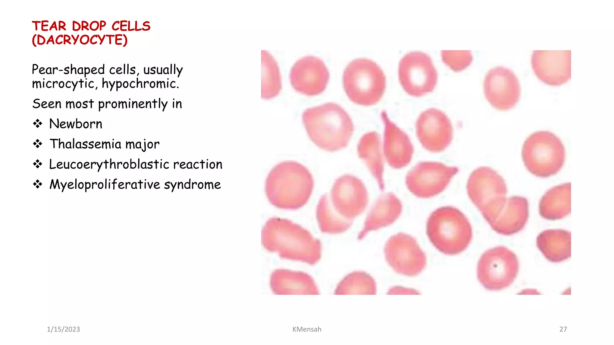 BLOOD FILM COMMENT part one.pptx