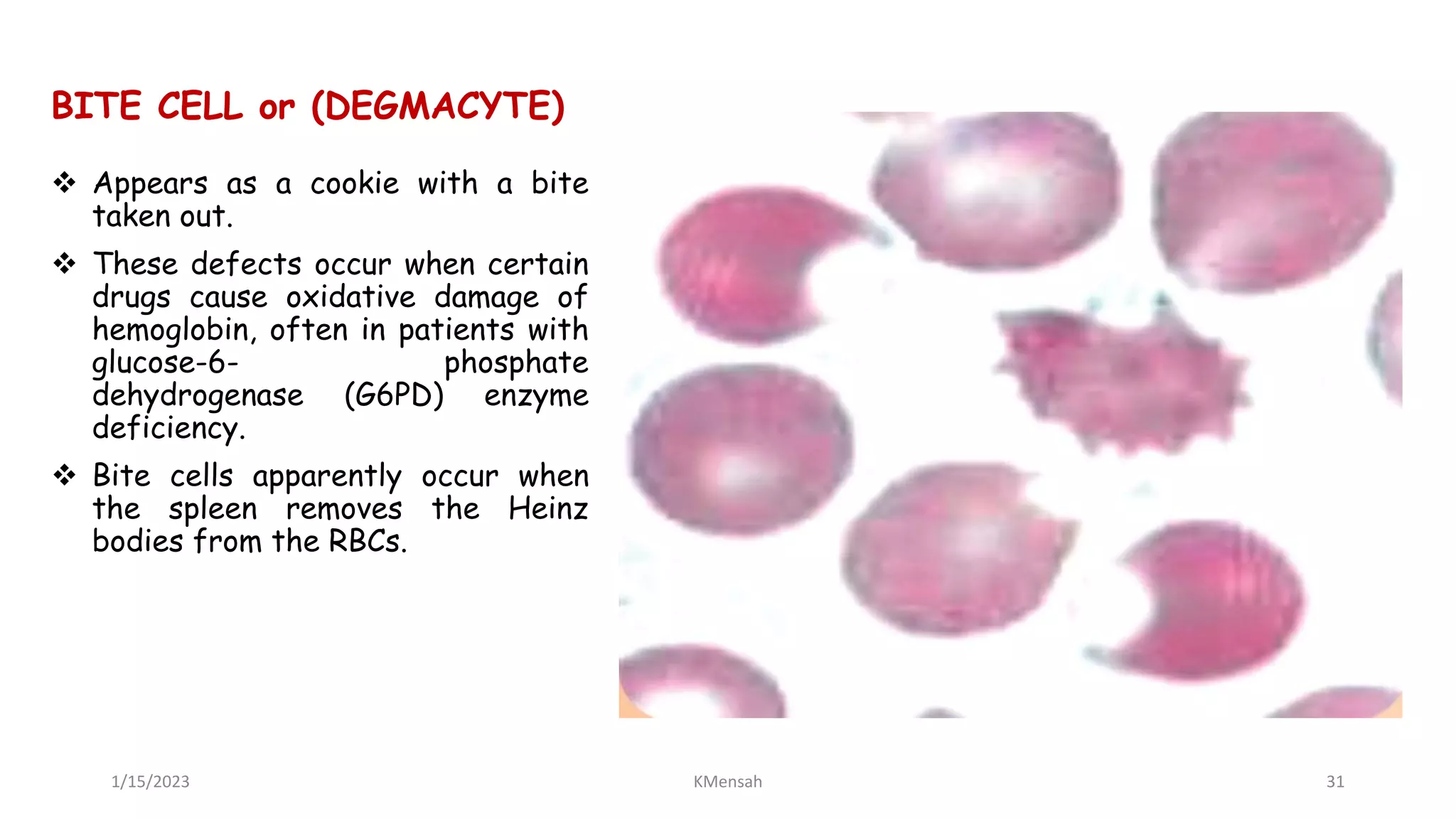 BLOOD FILM COMMENT part one.pptx