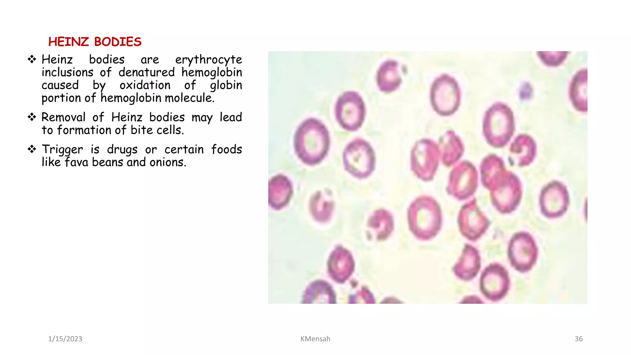 BLOOD FILM COMMENT part one.pptx