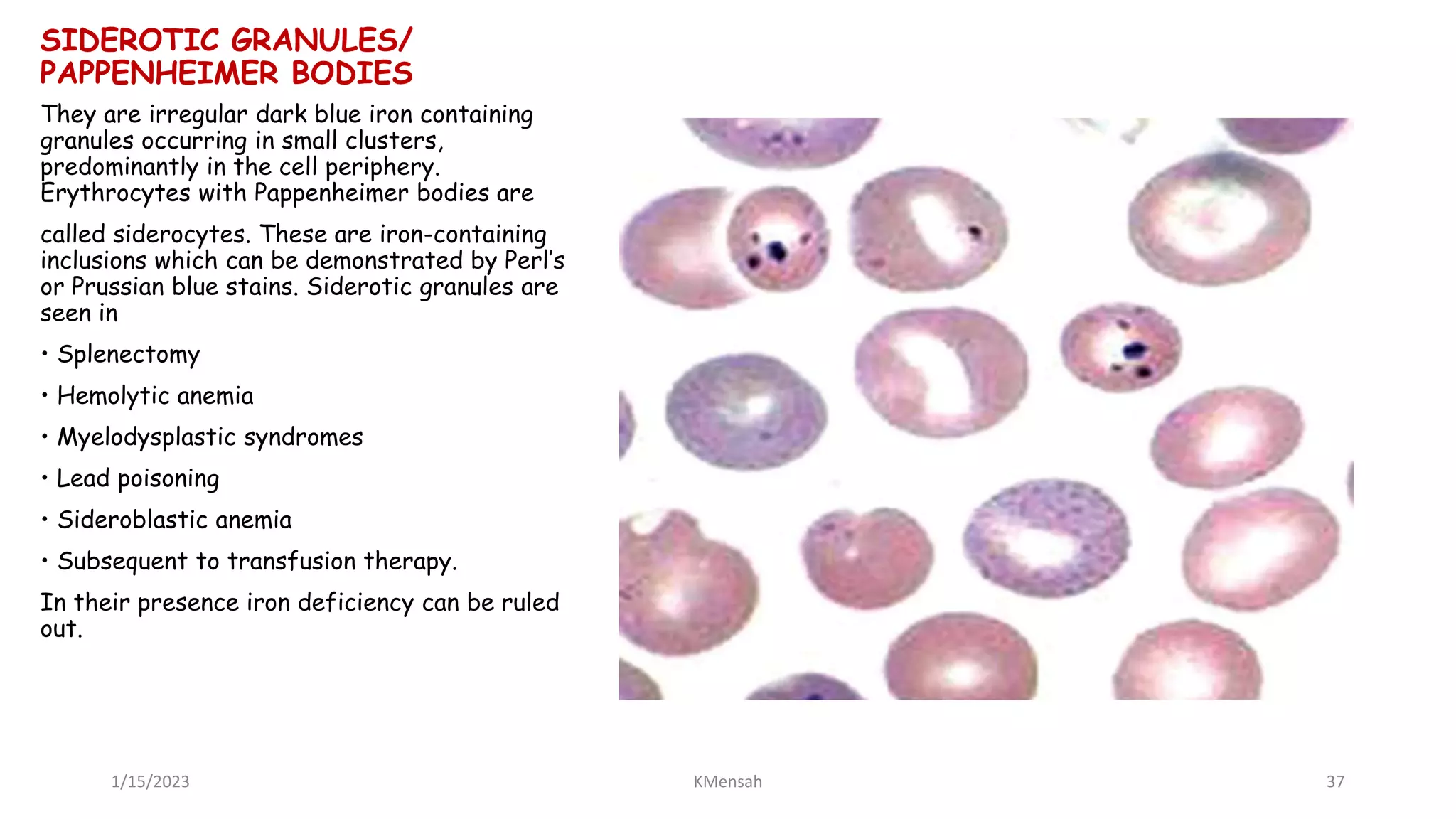 BLOOD FILM COMMENT part one.pptx