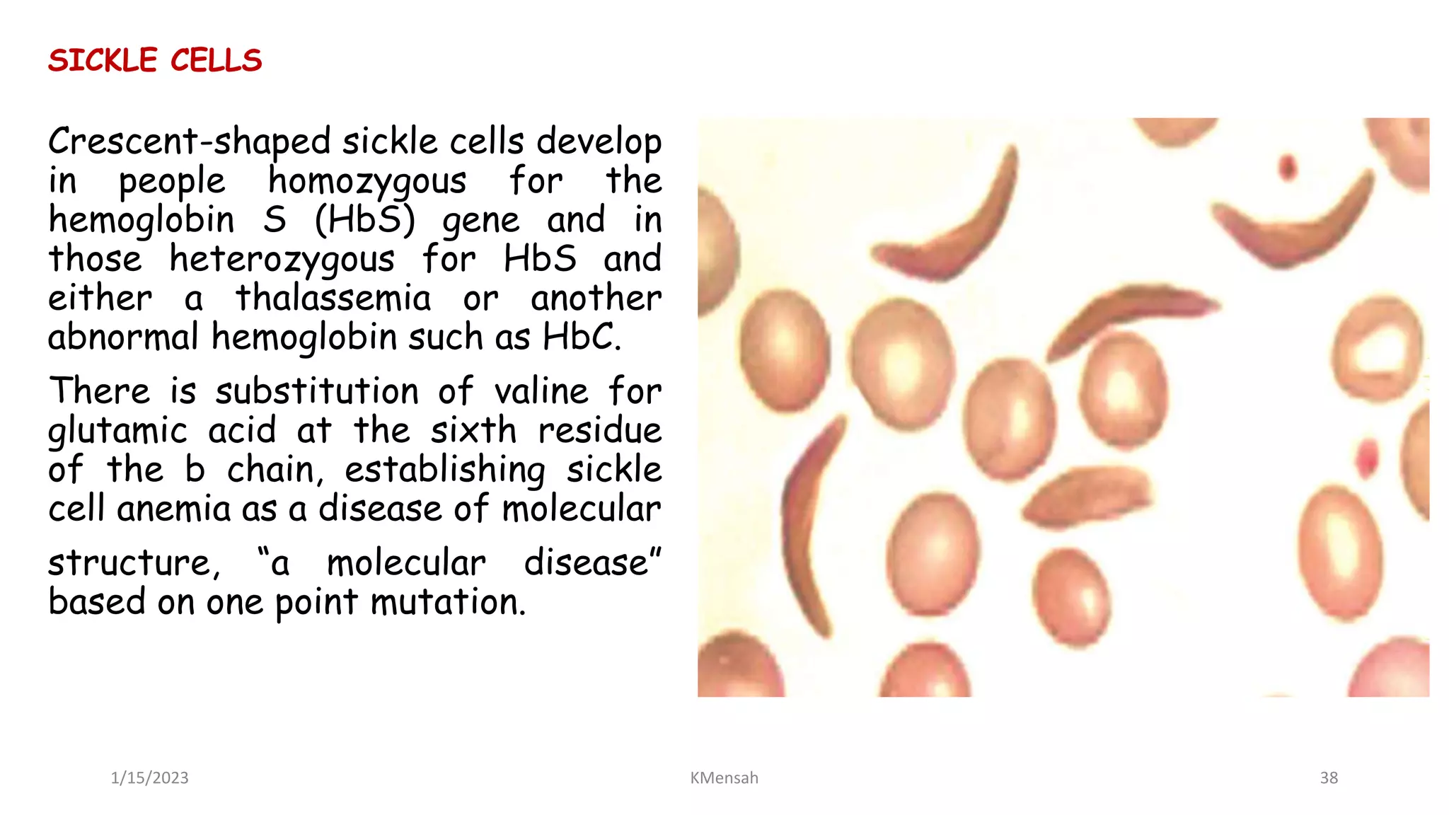 BLOOD FILM COMMENT part one.pptx