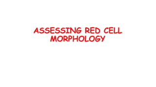 BLOOD FILM COMMENT part one.pptx