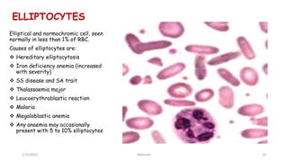 BLOOD FILM COMMENT part one.pptx