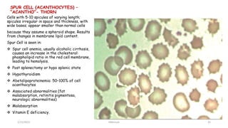 BLOOD FILM COMMENT part one.pptx