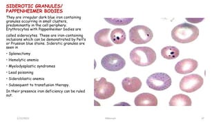 BLOOD FILM COMMENT part one.pptx