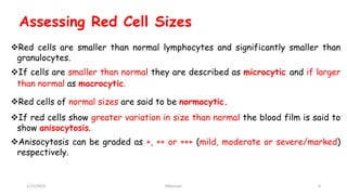 BLOOD FILM COMMENT part one.pptx