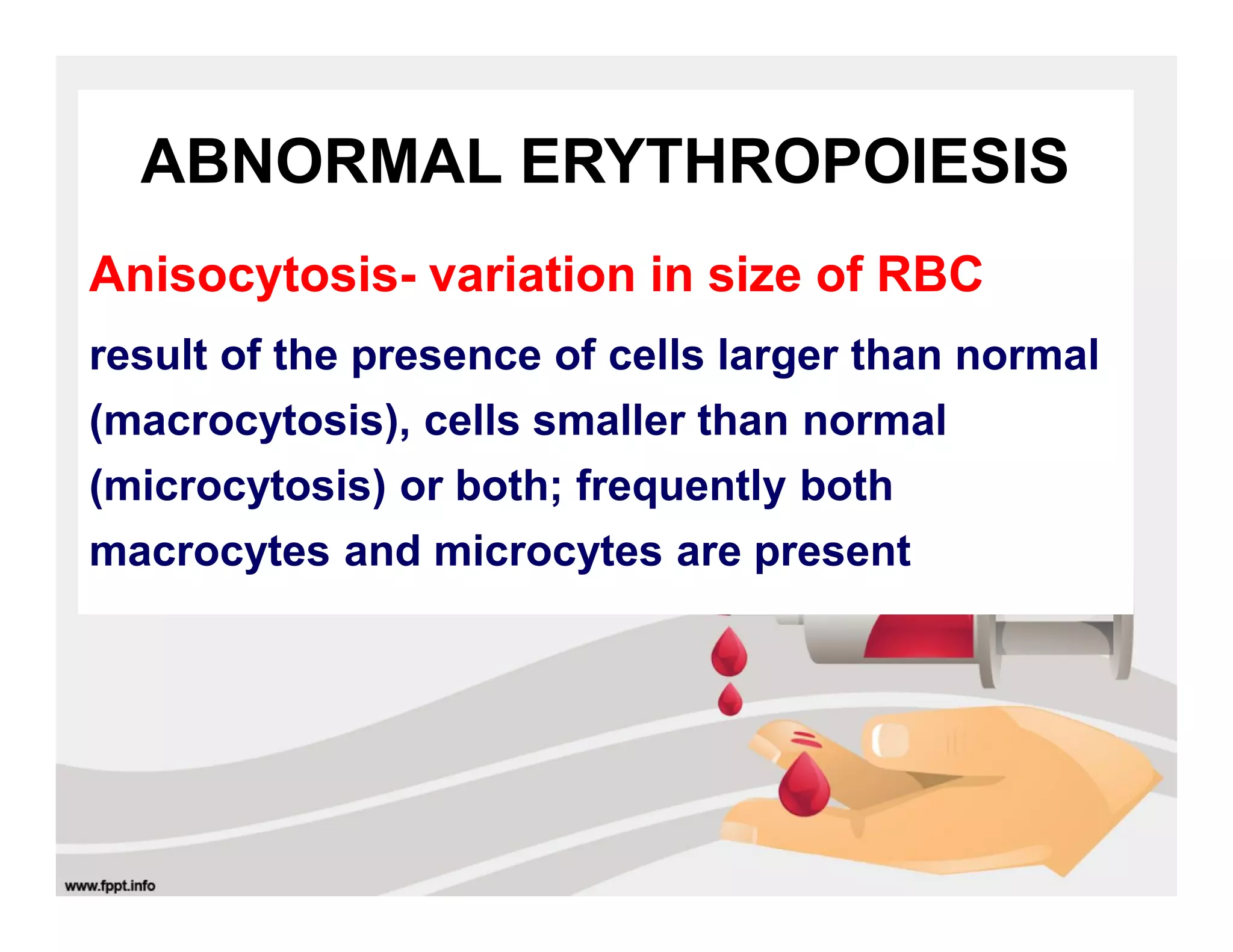 Blood film examination | PDF