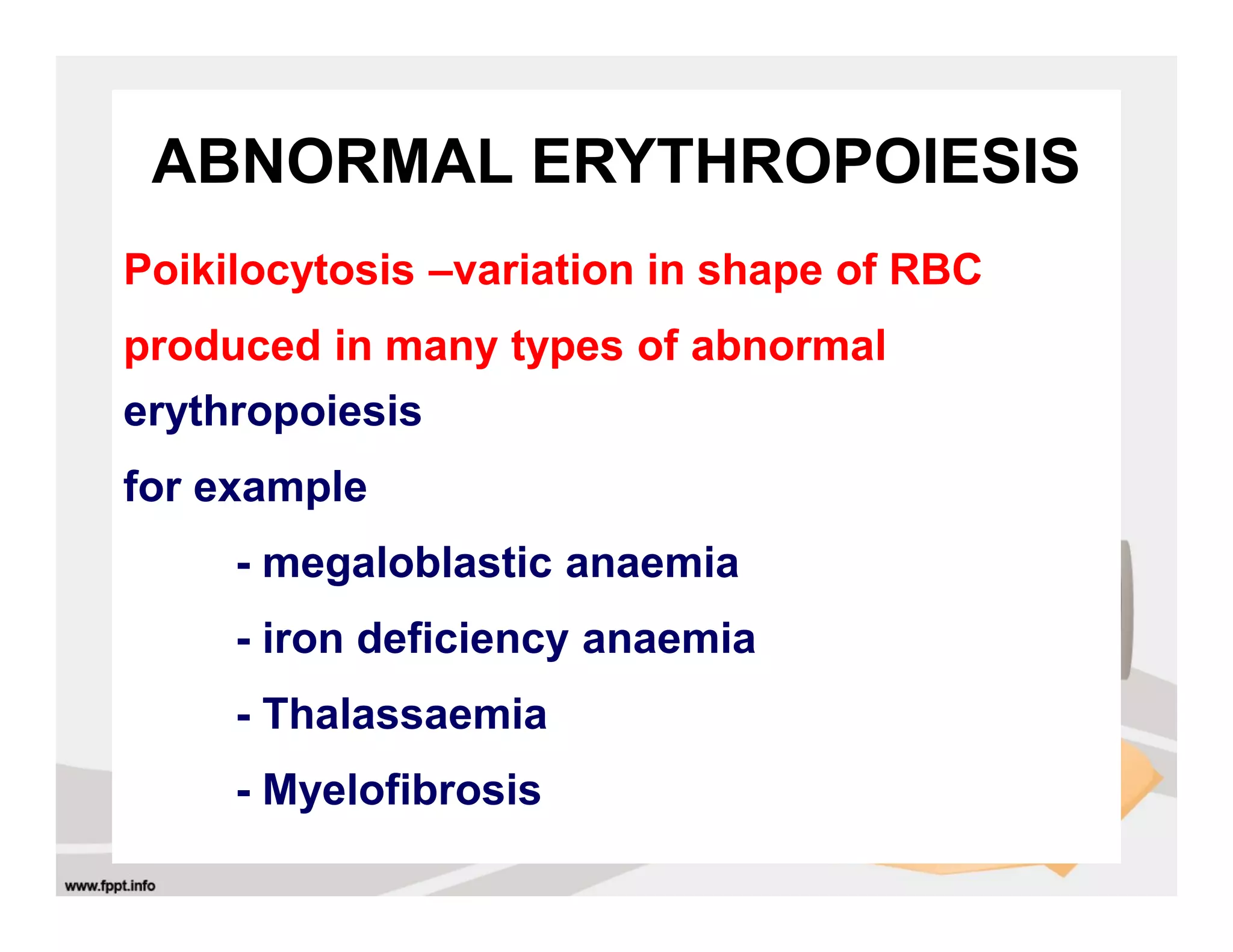 Blood film examination | PDF