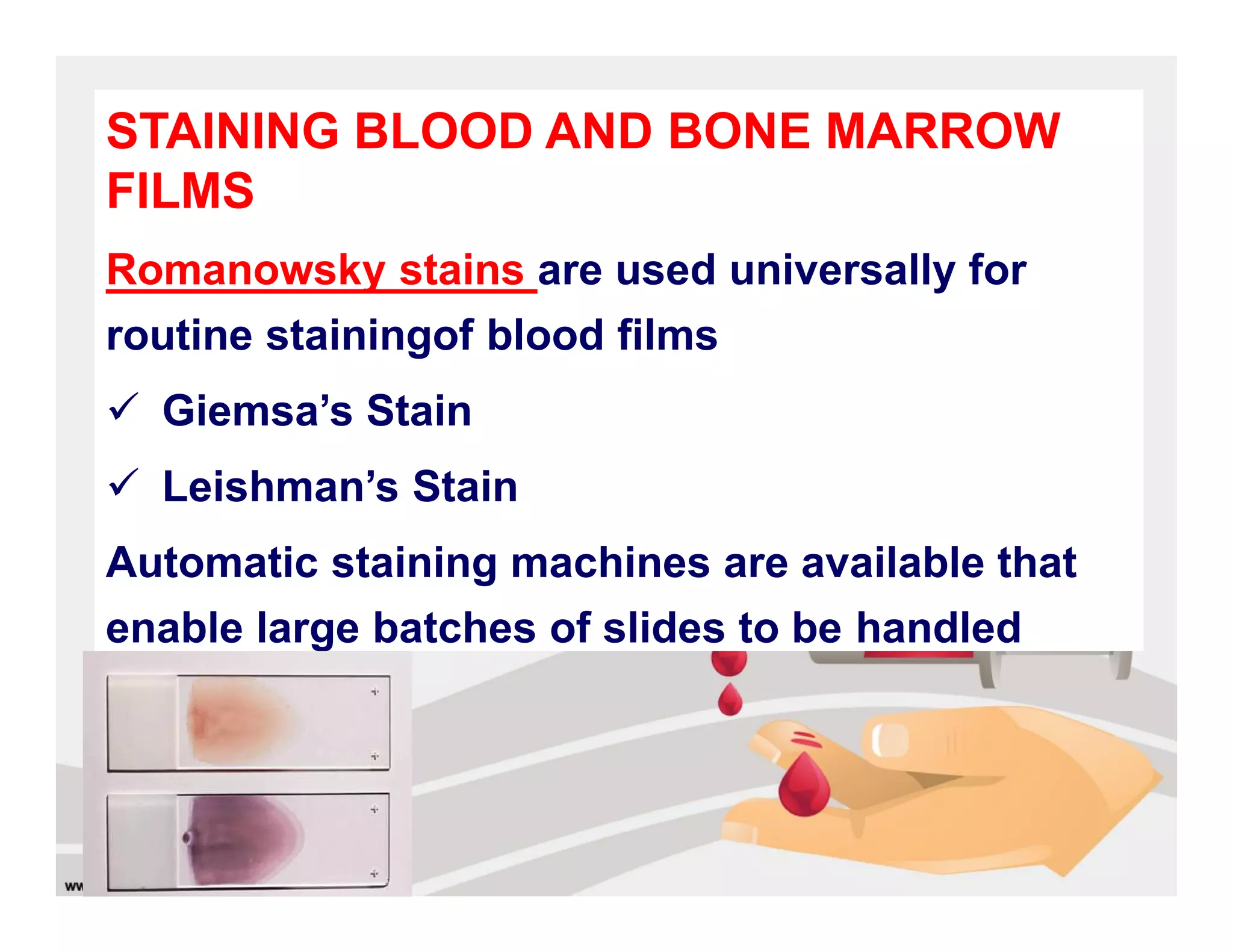 Blood film examination | PDF
