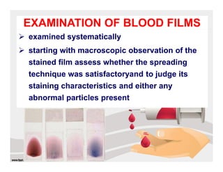 Blood film examination | PDF
