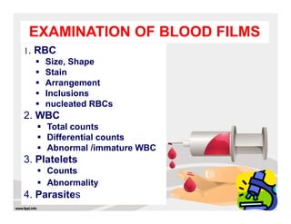 Blood film examination | PDF