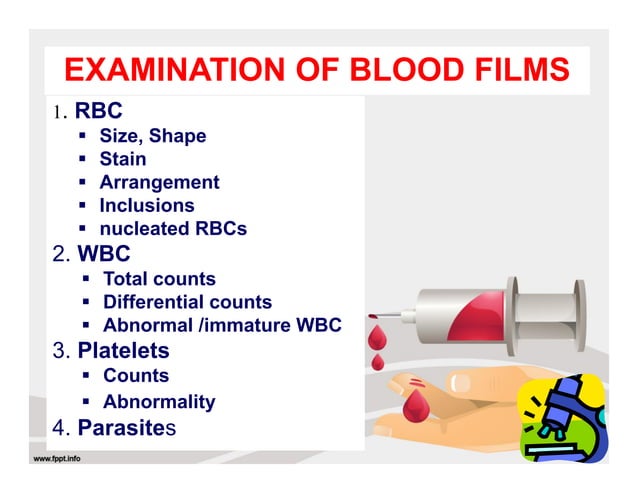 Blood film examination | PDF | Blood Disorders | Diseases and Conditions