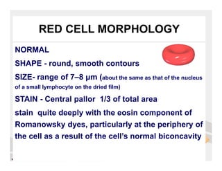 Blood film examination | PDF