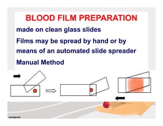 Manual Blood Smears Slides
