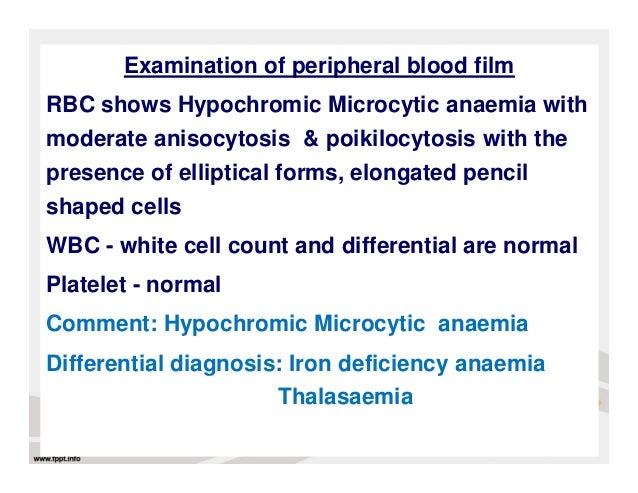 Blood film examination