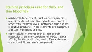 Blood film for malaria | PPTX | Blood Disorders | Diseases and Conditions